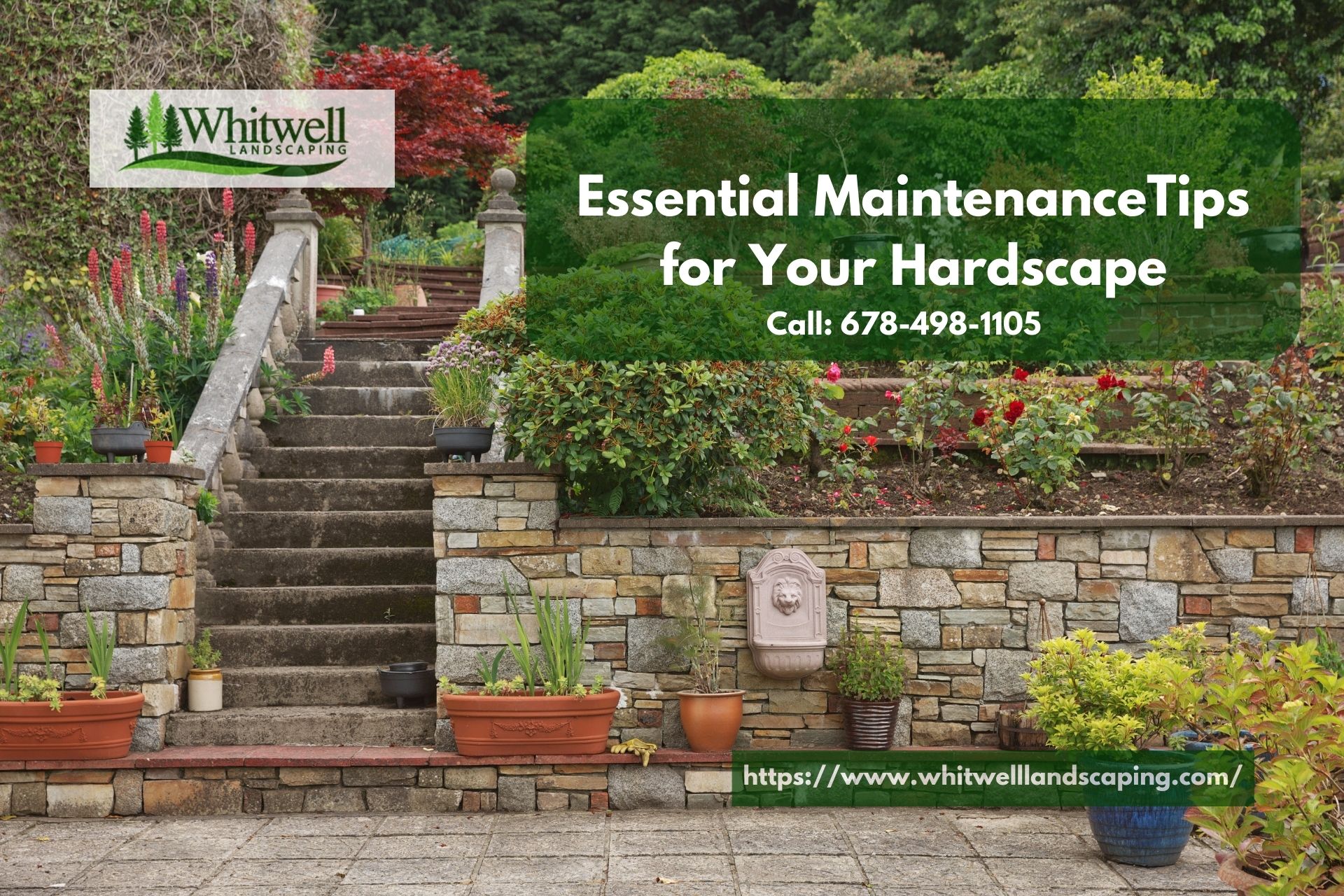 Essential Maintenance Tips for Your Hardscape