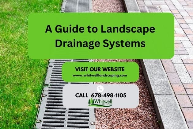 Guide to Landscape Drainage Systems