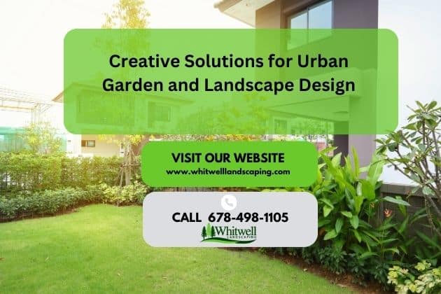 Creative Solutions for Urban Garden and Landscape Design