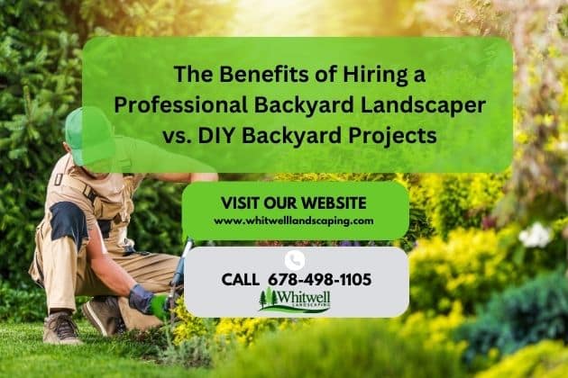 Benefits of Hiring a Professional Backyard Landscaper
